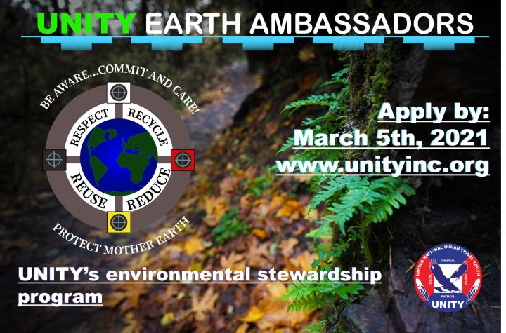 Applications Now Open for the 2021 UNITY Earth Ambassadors Program ...
